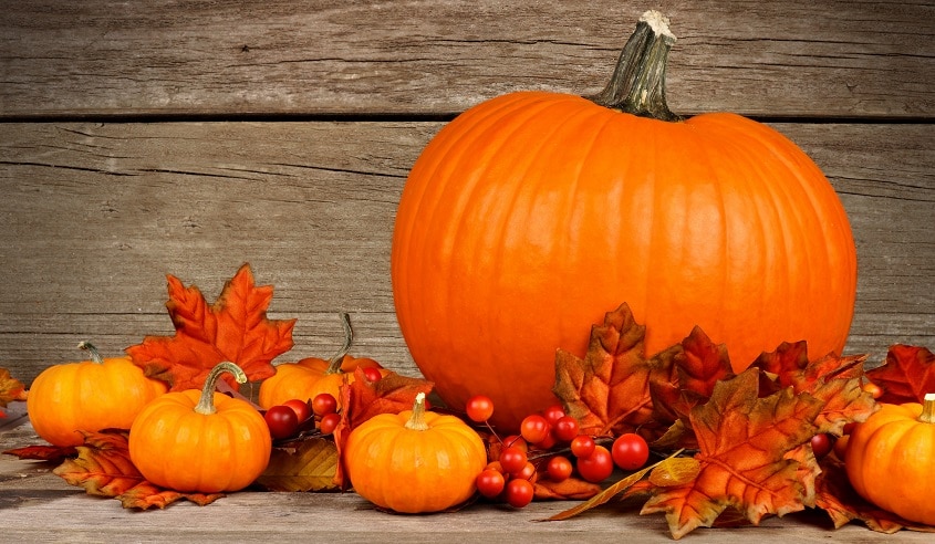 The Flavor of Fall: Pumpkin - Jon Taffer